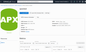 Oracle APEX Application Development - CloudVane